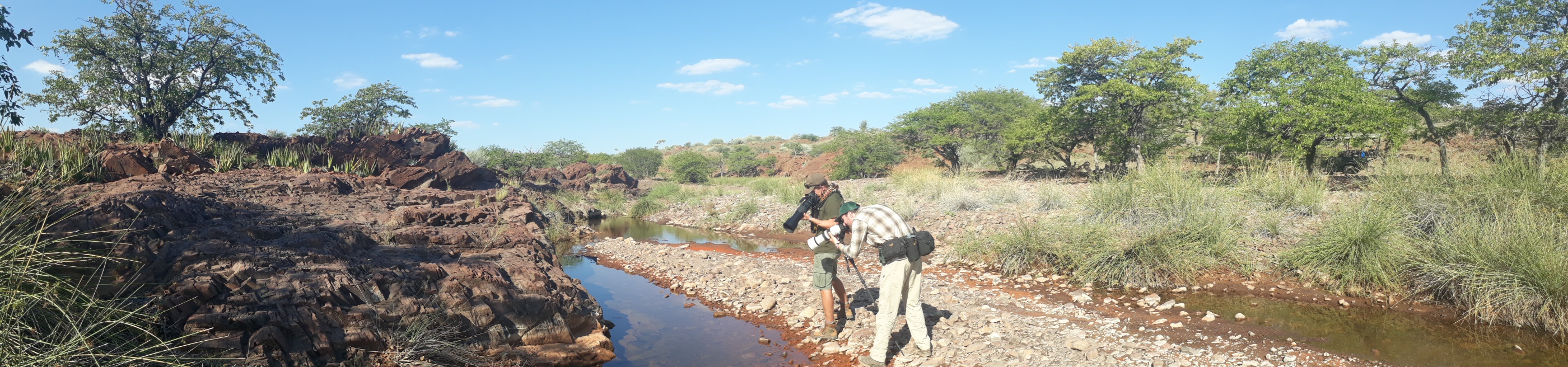Experience the stark beauty of Kaokoveld’s wilderness on foot ...
