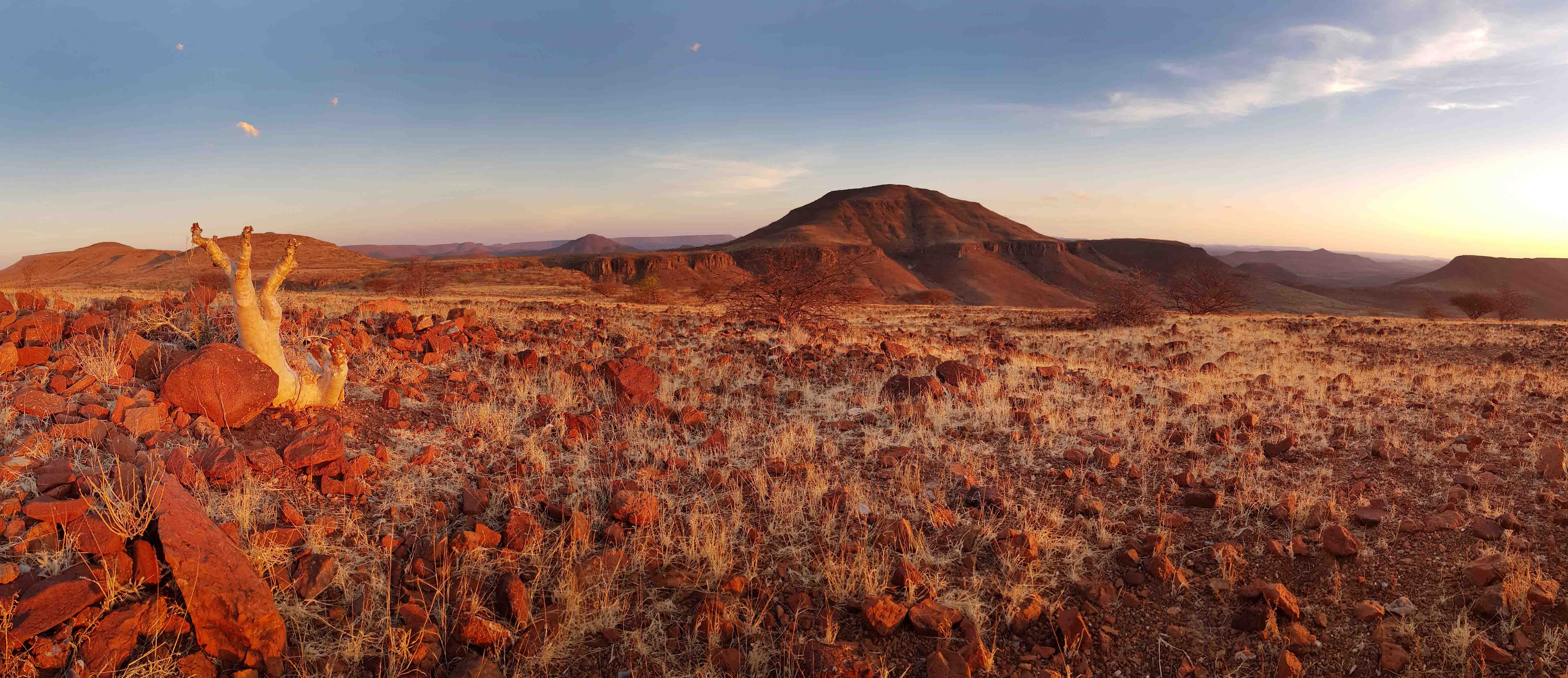 Experience the stark beauty of Kaokoveld’s wilderness on foot ...